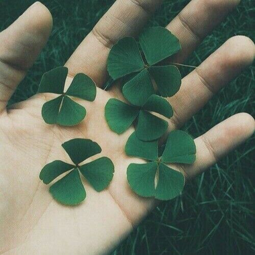 Kenisha Davis - Kenisha's Bio, Credits, Awards… - Stage 32