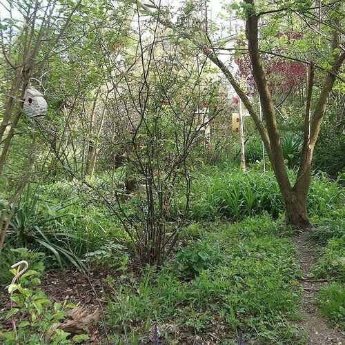 Angella Smith - Angella's Bio, Credits, Awards… - Stage 32