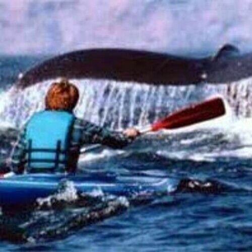 Christopher Carson: Director, producer and scr… - Stage 32