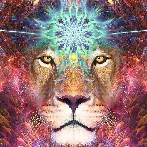 Joaquin Alejandro - Joaquin's Bio, Credits, Aw… - Stage 32