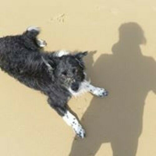 Simon Lex: Actor and director in London, England. - Stage 32