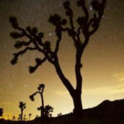 Danielle McCormick: . - Stage 32