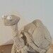 Sarah Milburn's Photo Giant tortoise (based on Aardman il…