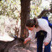 Patricia Mooney's Photo Feeding a kangaroo, Kangaroo Isla…