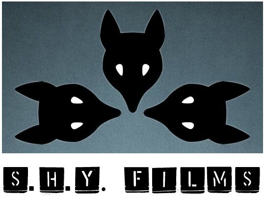 'script writer - a job post by Harry Haroon - Stage 32